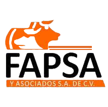 Home | Fapsa y Asociados